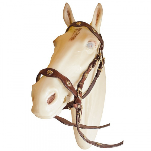 Zaum Cortesia mit Zügeln • EL CABALLO